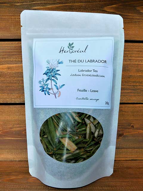 Thé du Labrador — Boutique Herboréal